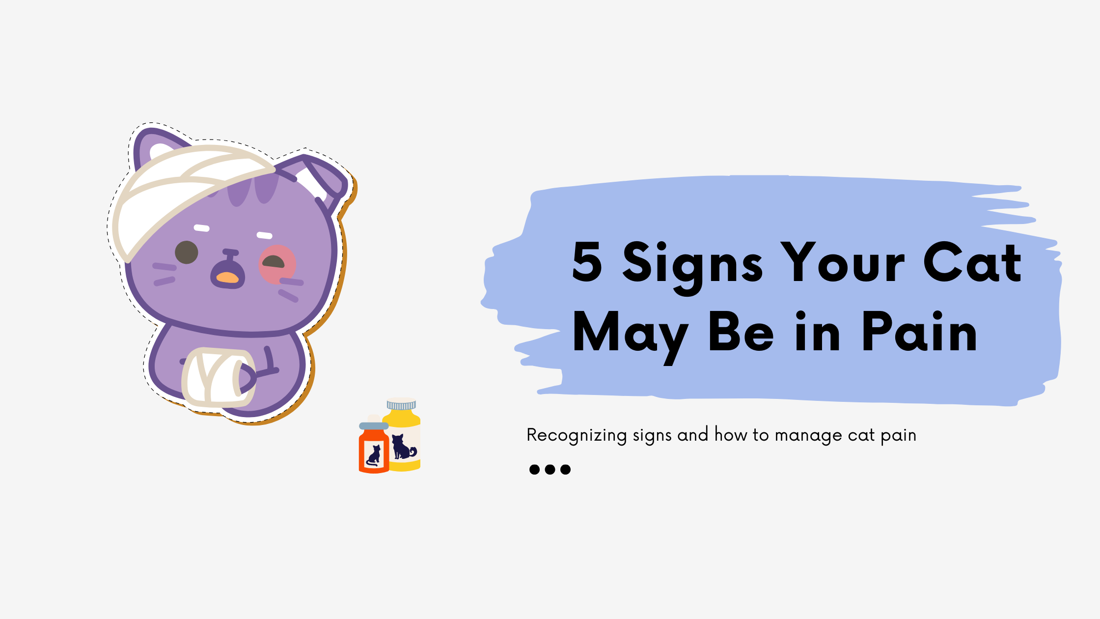 5 Signs Your Cat May Be in Pain ! – Mori Cat