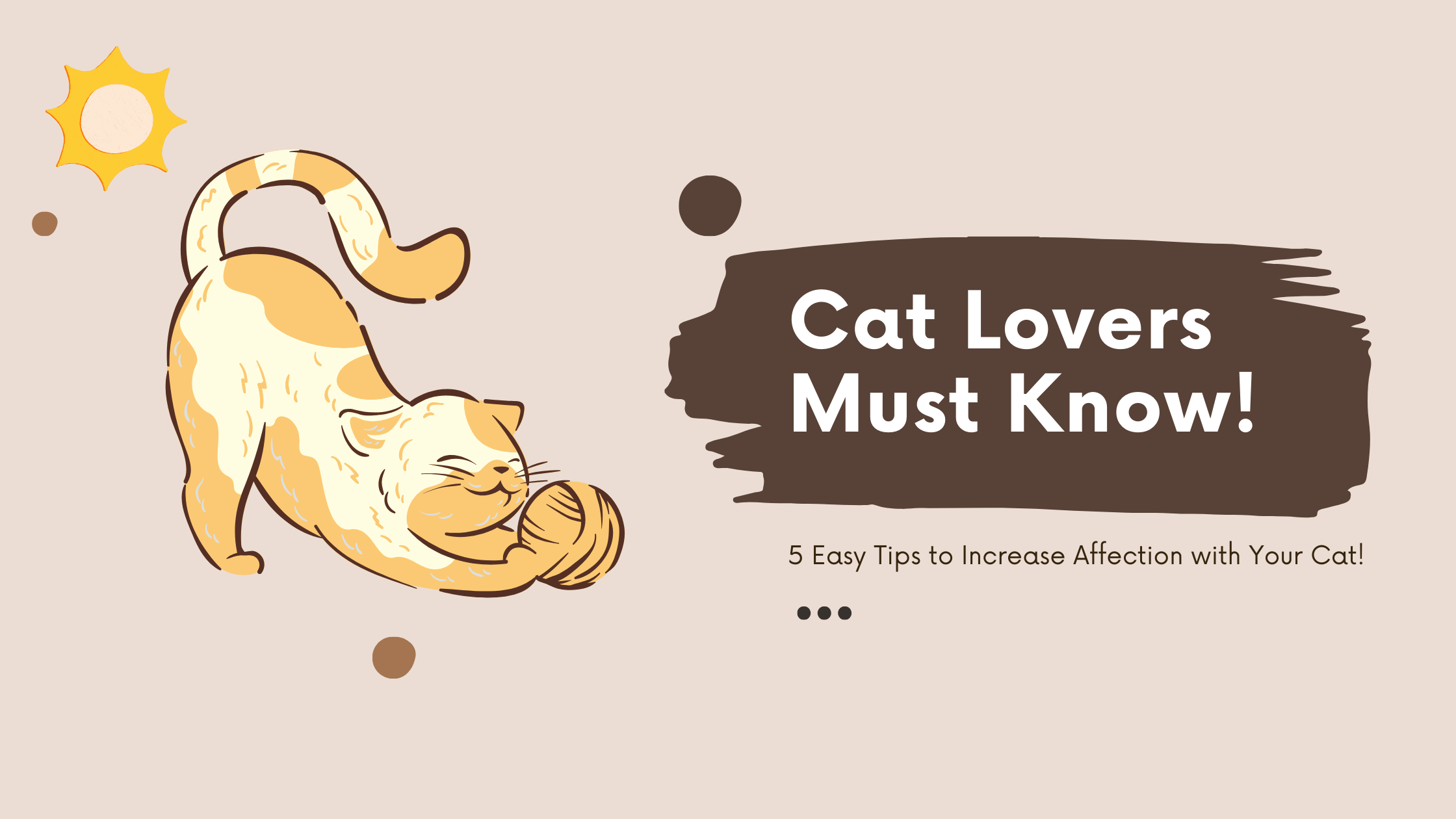 Cat Lovers Must Know: Check Out These 5 Tips to Increase Affection wit ...