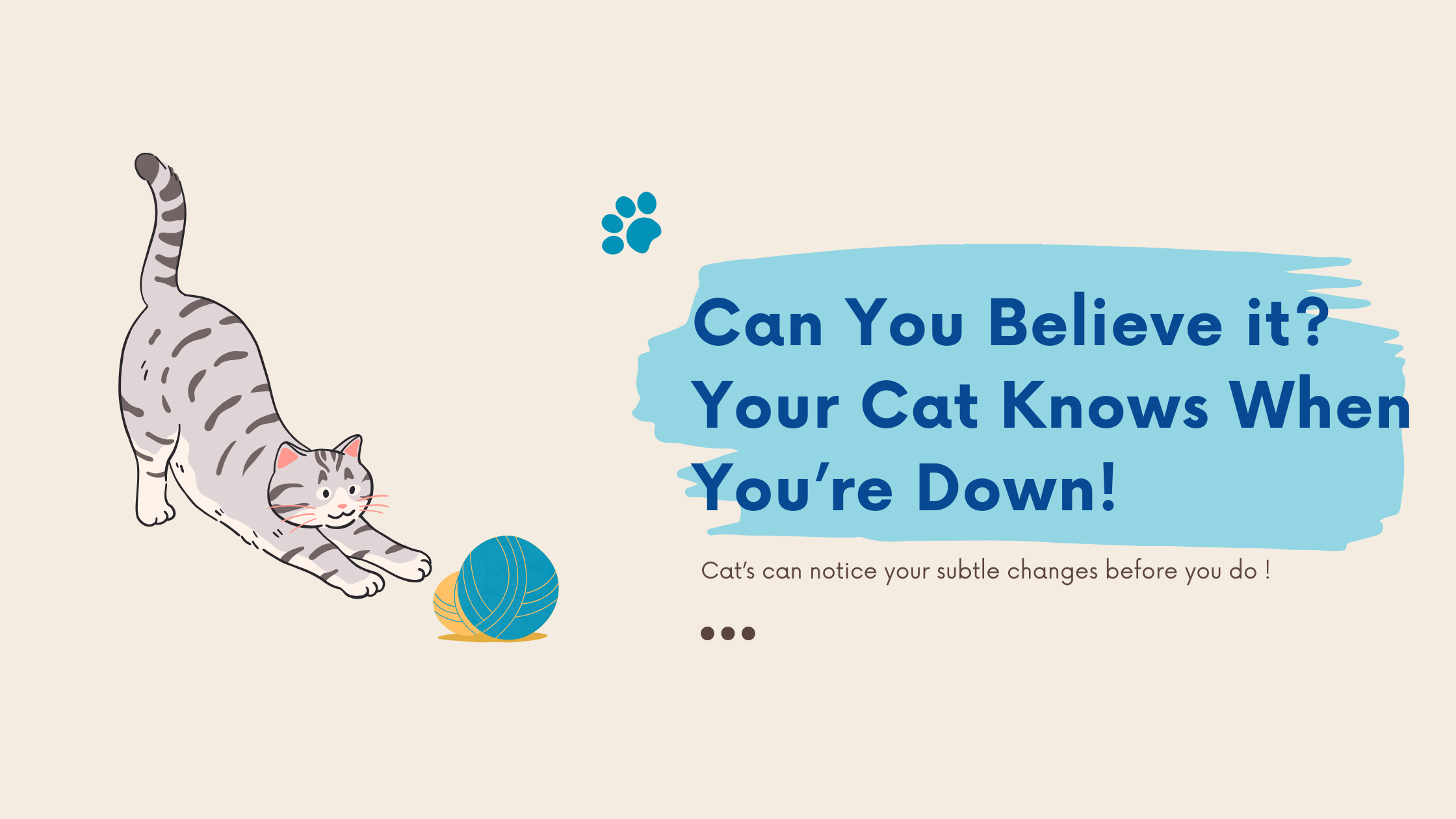 Can You Believe Your Cat Knows When You’re Down? – Mori Cat