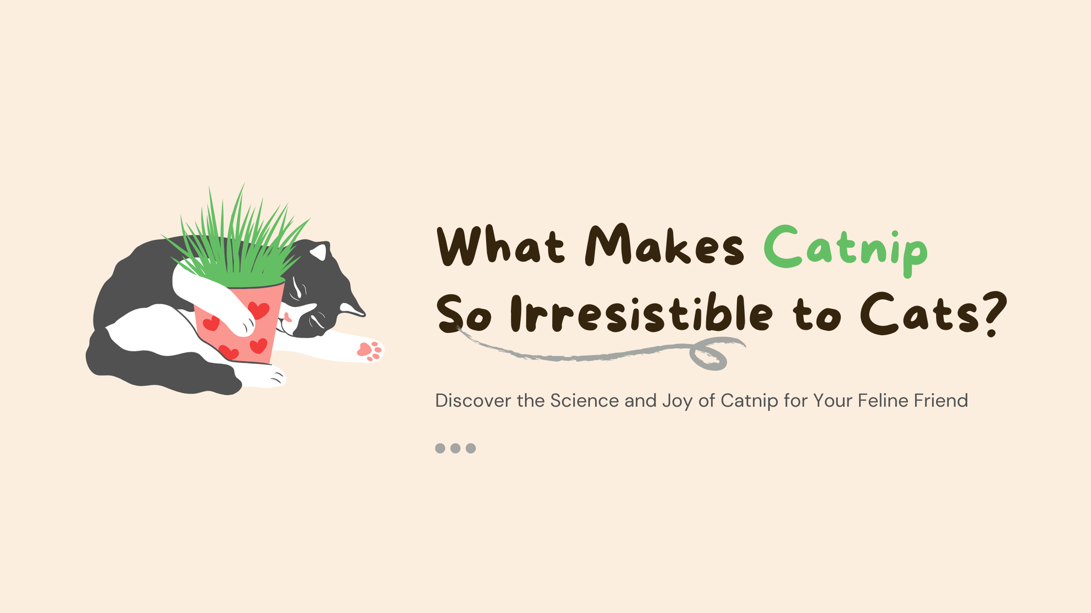 What Makes Catnip So Irresistible to Cats? – Mori Cat