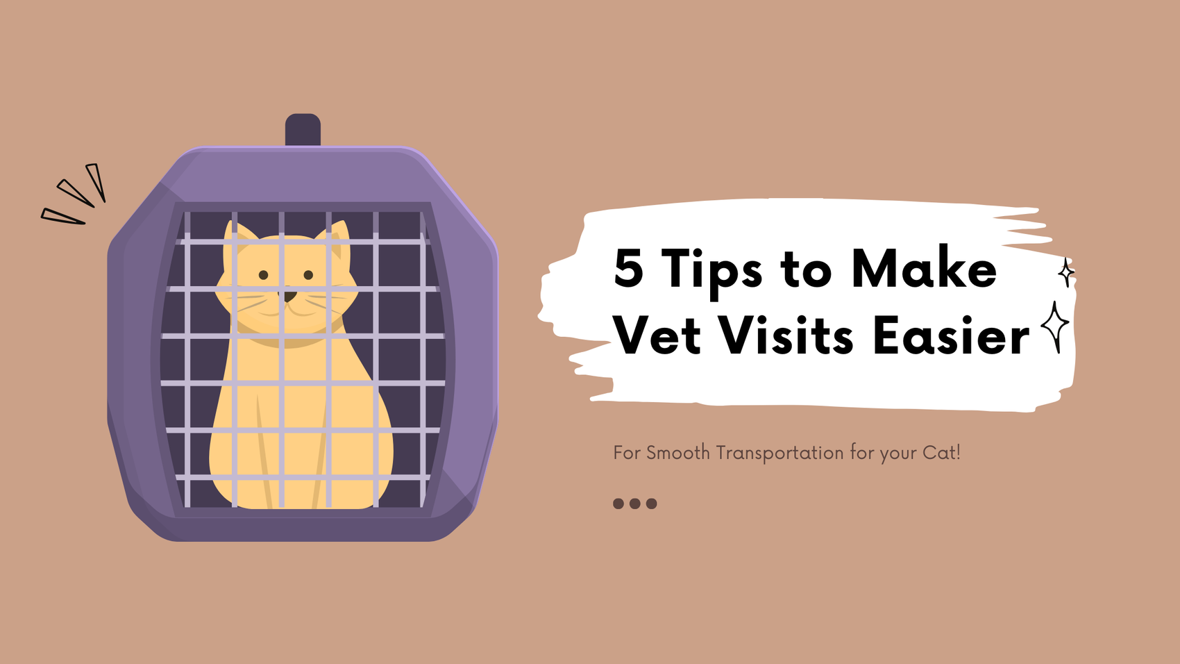 5 Tips to Make Vet Visits Easier for You and Your Cat! – Mori Cat