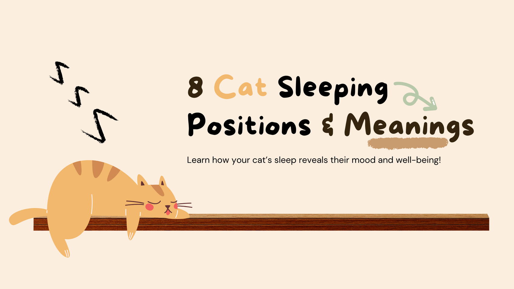 Discover What Your Cat’s Sleeping Position Tells You: 8 Common Types ...