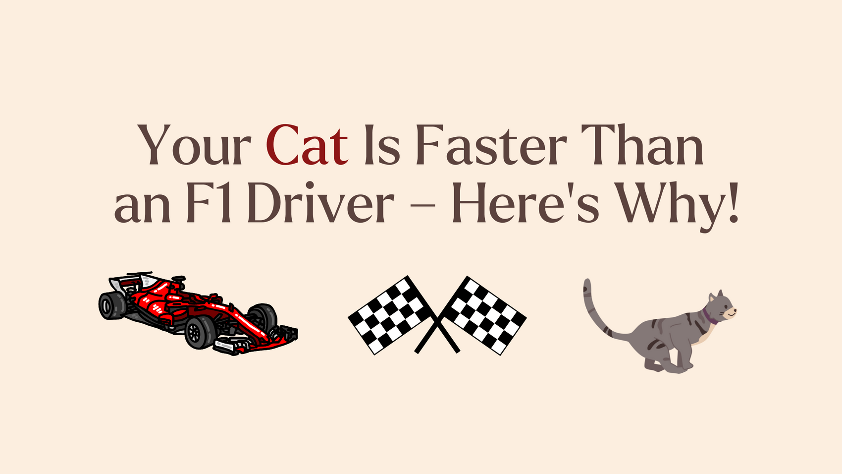 Your Cat Is Faster Than an F1 Driver – Here’s the Science! – Mori Cat