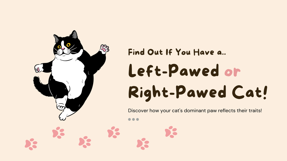 What Does Your Cat’s Paw Preference Reveal About Their Personality ...