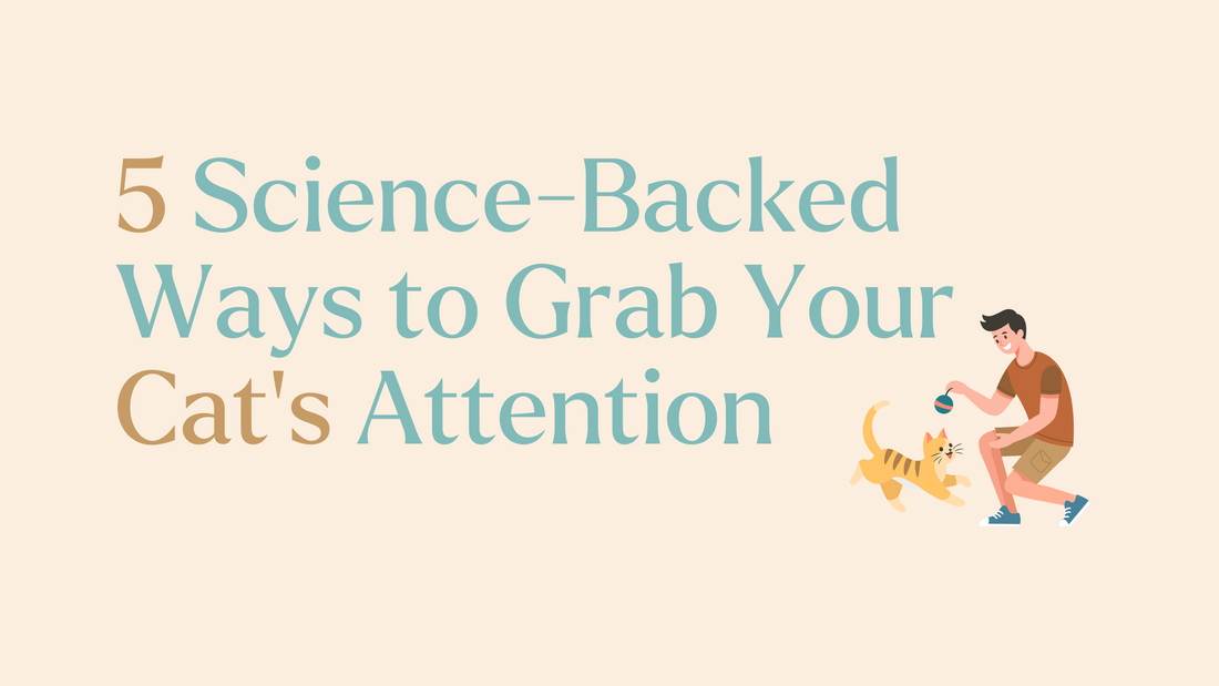 5 Science-Backed Tricks to Instantly Grab Your Cat’s Attention – Mori Cat
