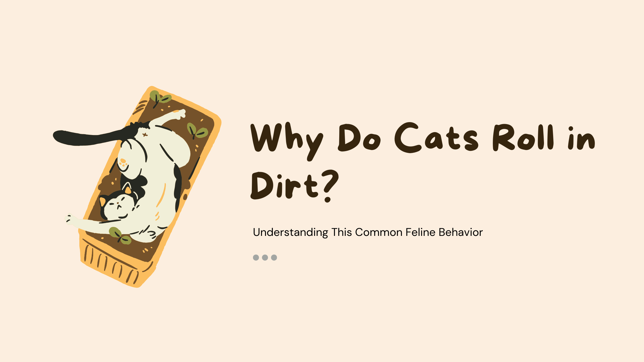 Why Does My Cat Roll In Dirt? – Mori Cat