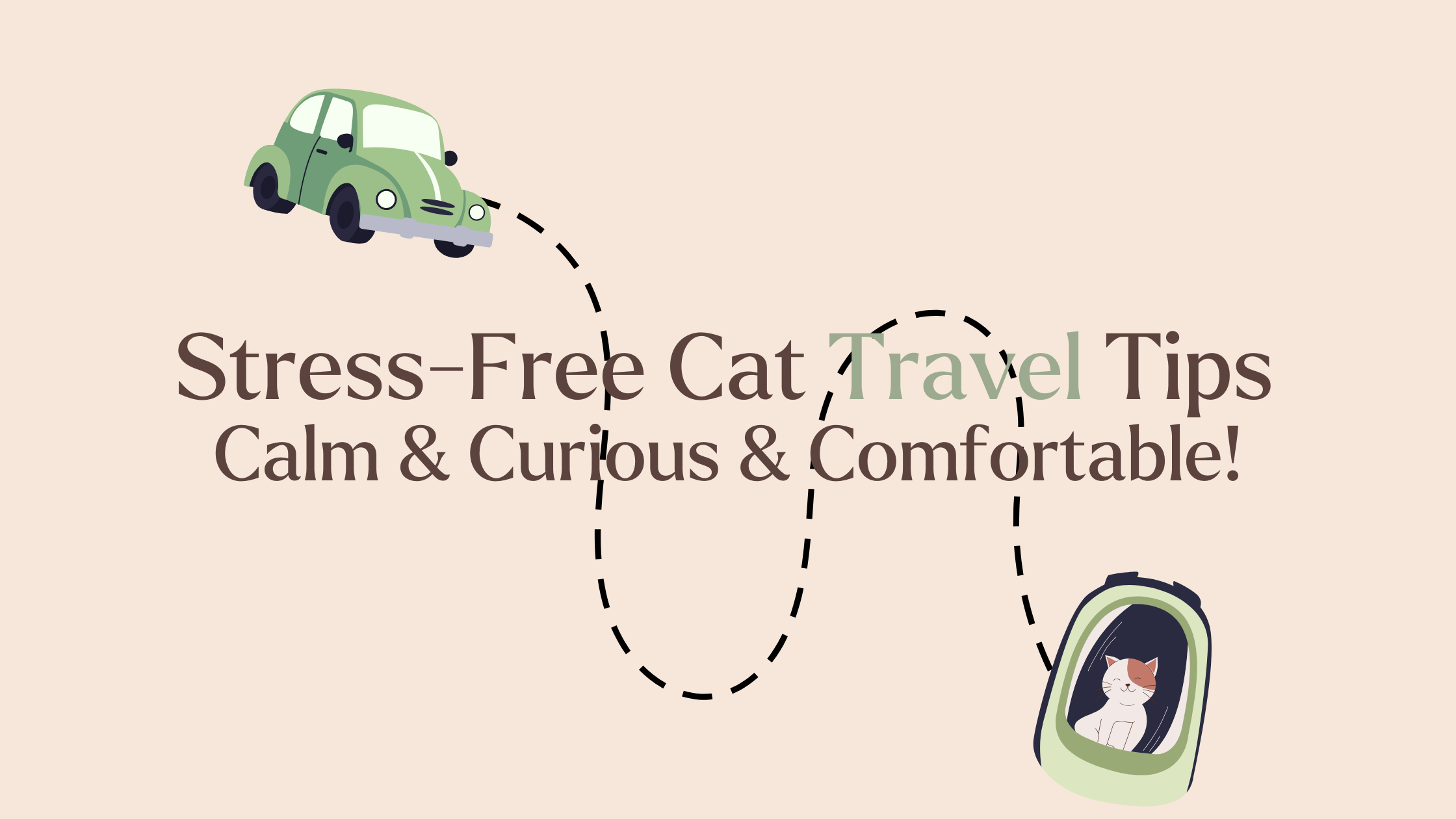 Traveling with Cats: Calm, Curious and Comfortable! – Mori Cat