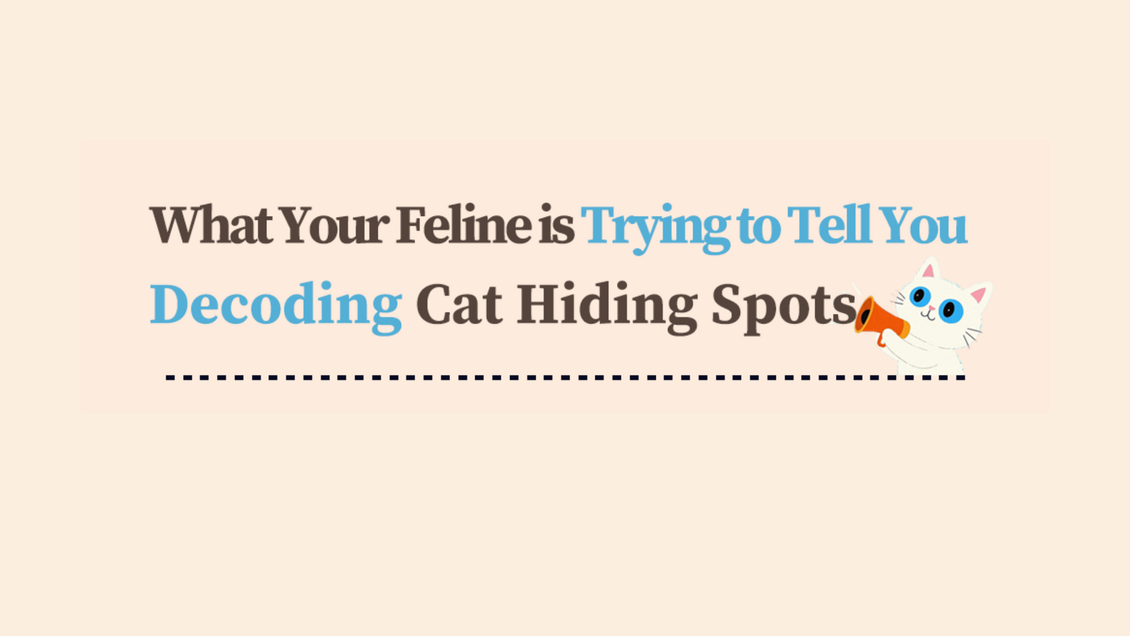 Decoding Cat Hiding Spots: What Your Feline is Trying to Tell You ...