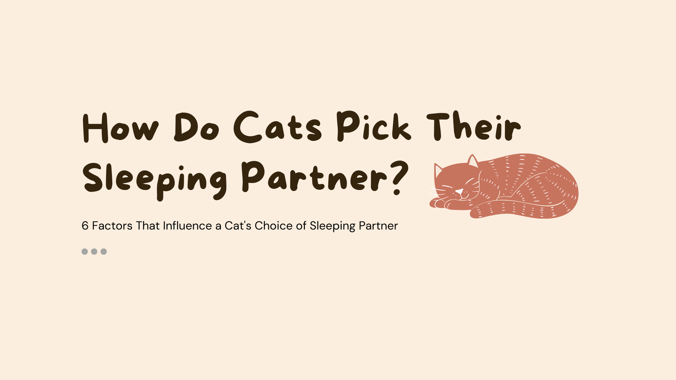 How Do Cats Choose Their Favorite Person To Sleep With? – Mori Cat