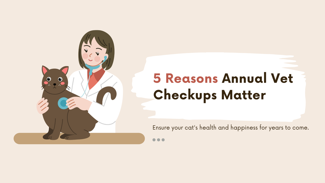 5 Reasons Annual Vet Checkups Are Essential for Your Cat – Mori Cat