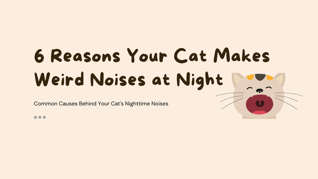 Why Do Cats Make Weird Noises at Night? – Mori Cat