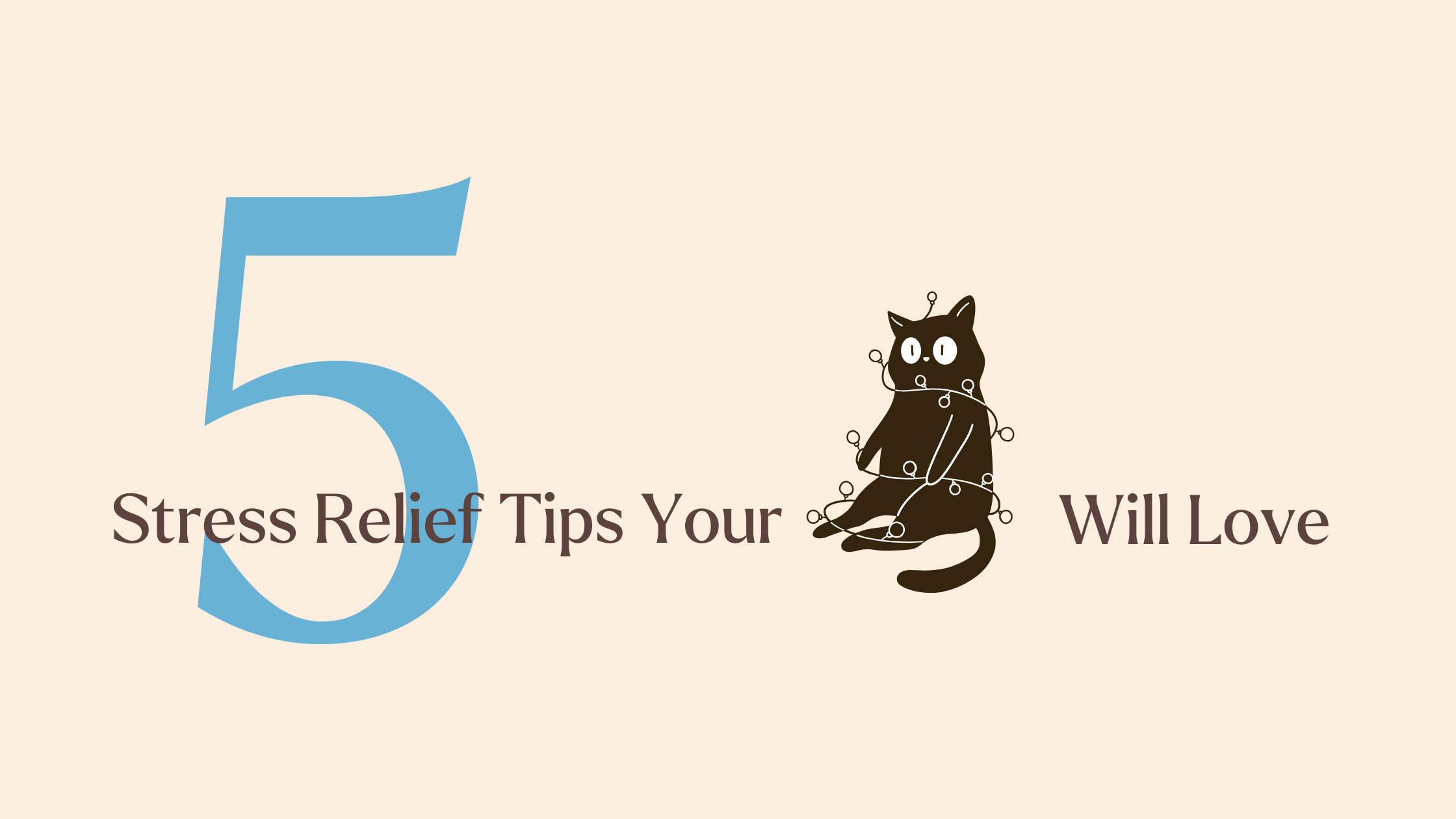 Just 2 Minutes to Learn 5 Stress Relief Tips Your Cat Will Love – Mori Cat