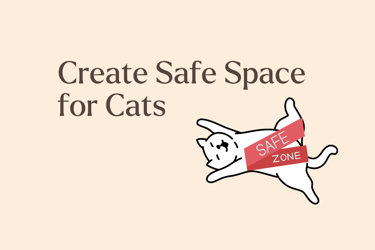 Why Cats Are Territorial and How to Create a Safe Space for Them – Mori Cat