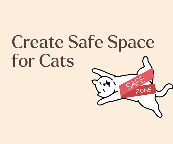 Why Cats Are Territorial and How to Create a Safe Space for Them – Mori Cat