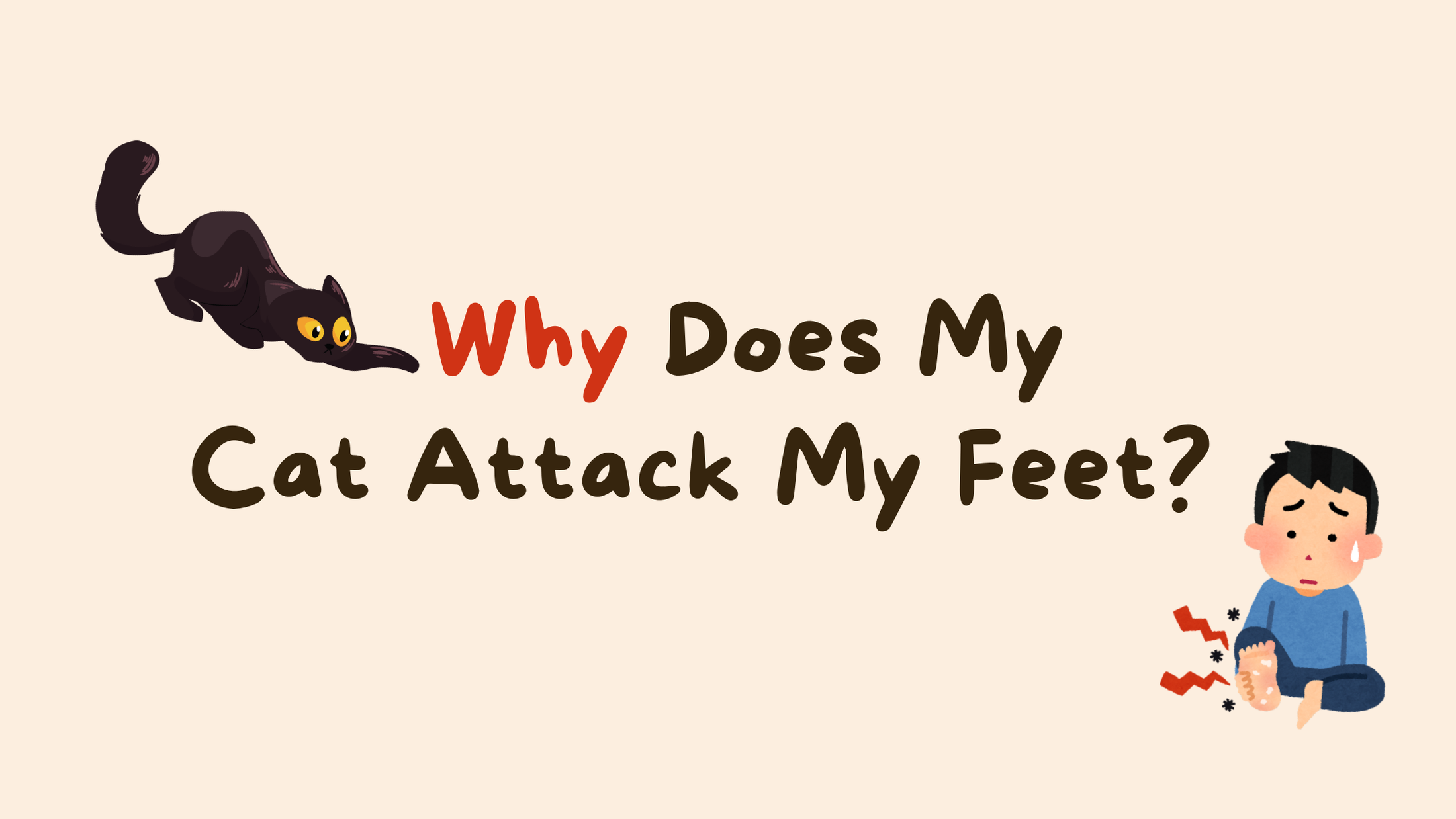 Why Does My Cat Attack My feet? – Mori Cat