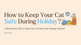 How to Keep Your Cat Safe This Holiday Season: 6 Must-Know Tips – Mori Cat