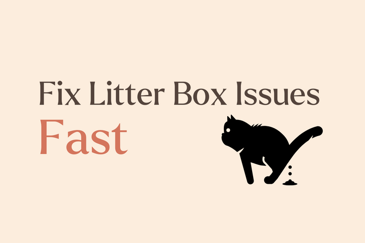 Understanding Cat Behavior: Tackling House-Soiling Effectively – Mori Cat