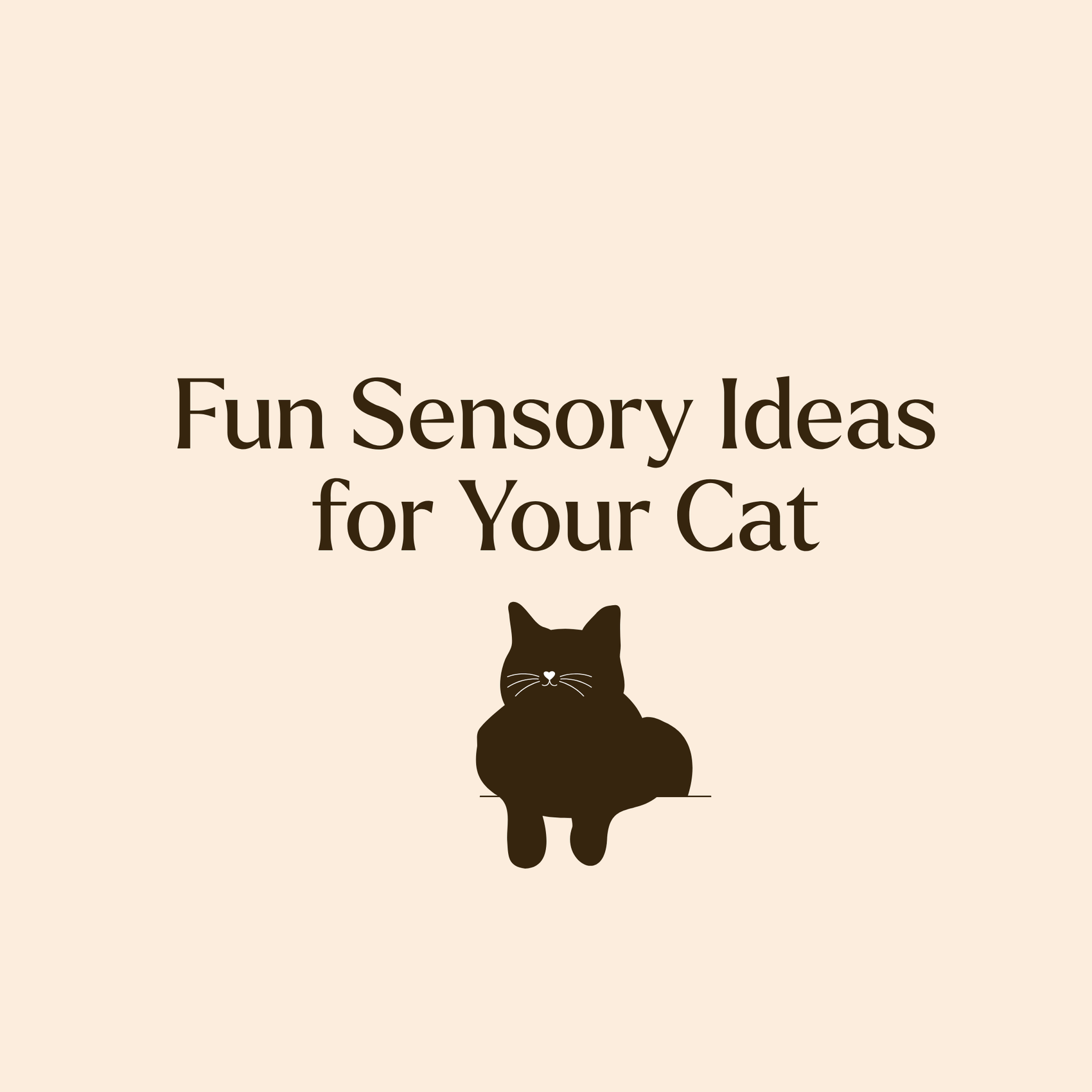 5 Easy Sensory Enrichment Ideas Your Cat Will Love – Mori Cat
