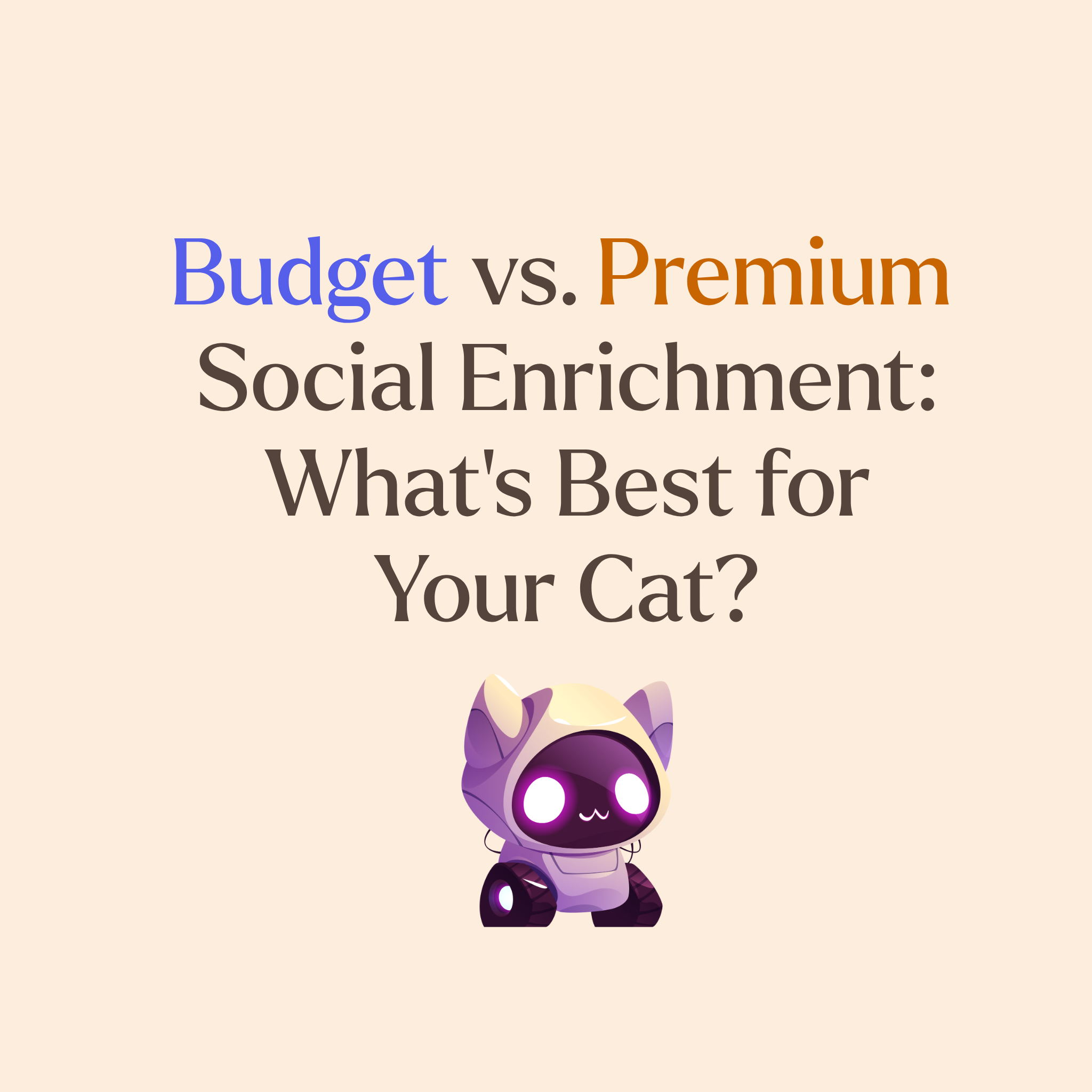 Budget vs. Premium Social Enrichment: What’s Best for Your Cat? – Mori Cat