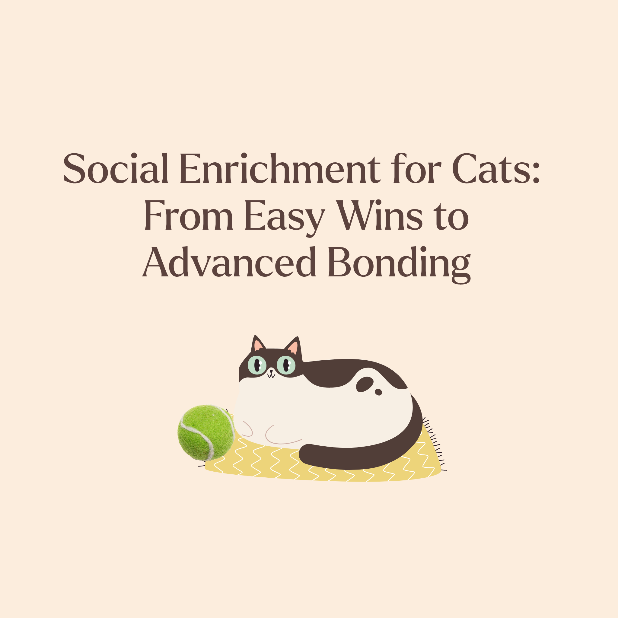 Social Enrichment for Cats: From Easy Wins to Advanced Bonding – Mori Cat