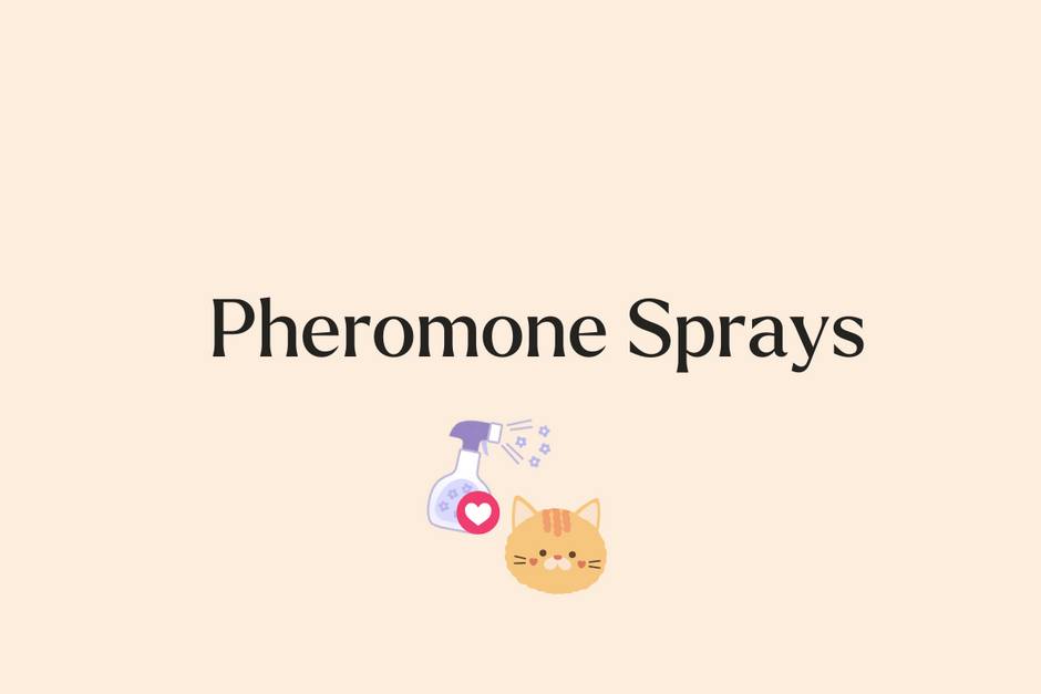 What Is a Pheromone Spray and When Should You Use It? – Mori Cat