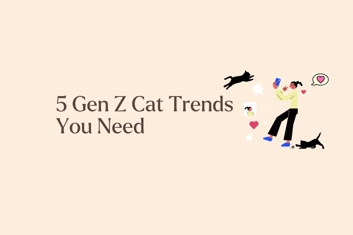 Do Millennials Treat Cats Differently Than Boomers? 5 Cultural Shifts ...