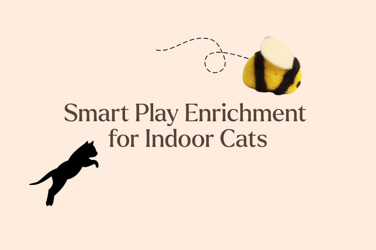 5 Smart Play Enrichment Ideas to Keep Indoor Cats Happy and Active ...