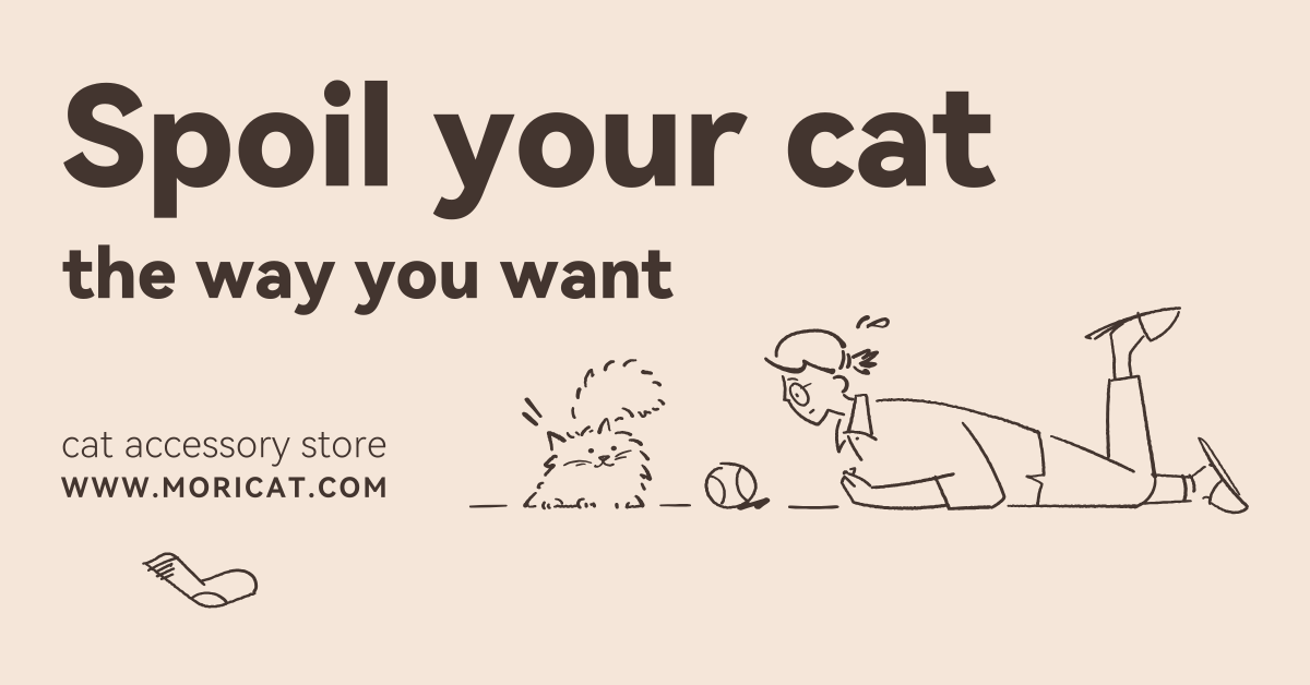 Modular Cat Collar & Wearable Cat Toy | Eco Friendly Cat Products ...